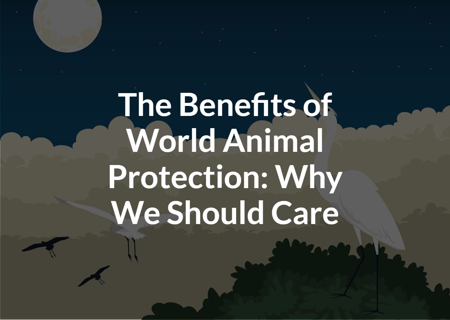 The Benefits of World Animal Protection: Why We Should Care - The ...